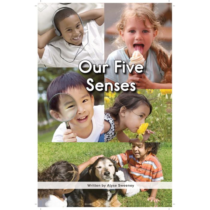 Our Five Senses - Updated