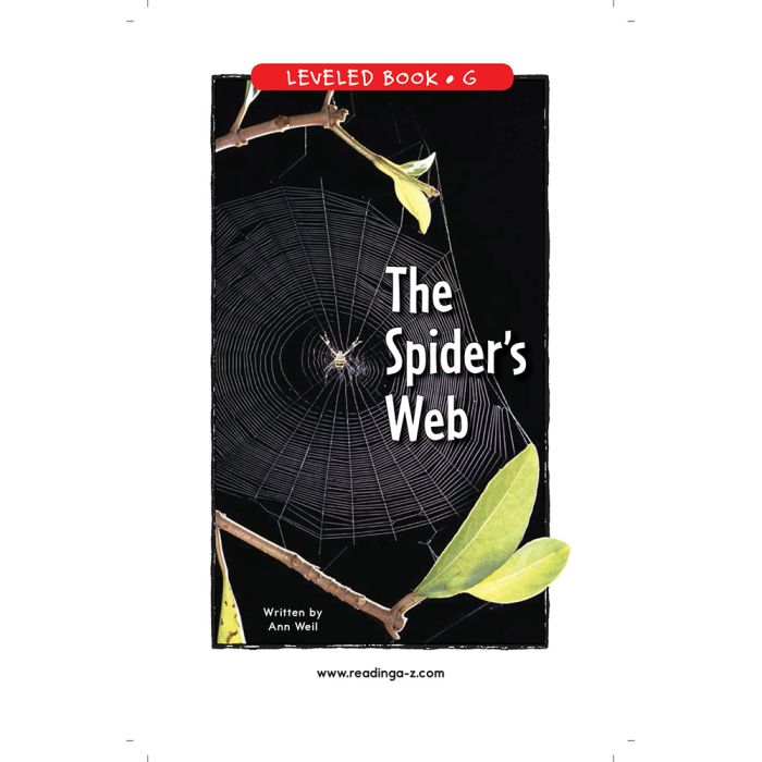 The Spider’s Web