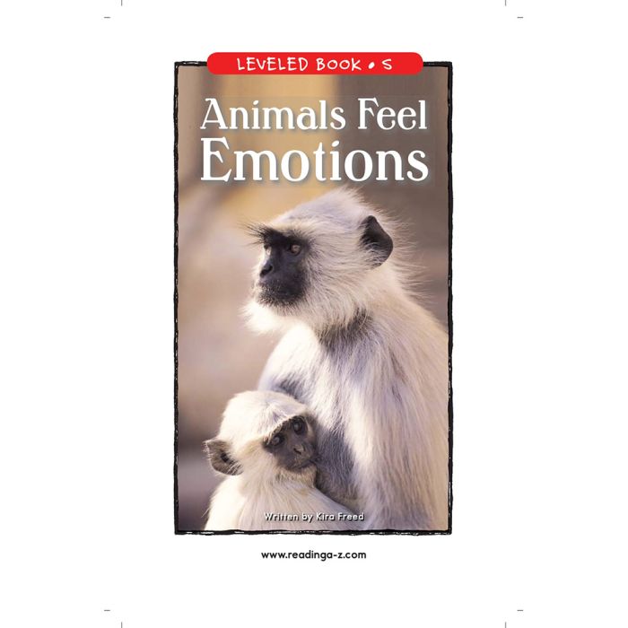 Animals Feel Emotions